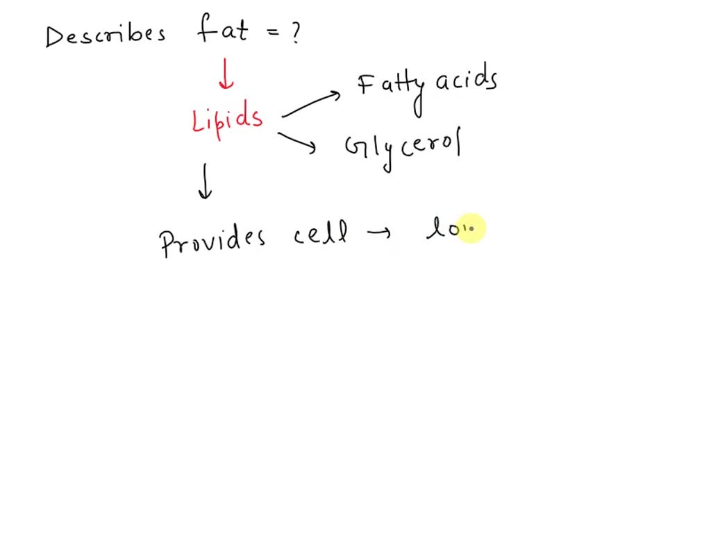 SOLVED: Identify the cell product that is detected by phospholipid ...