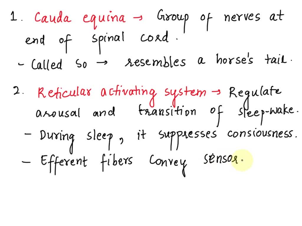 SOLVED: 1. Cauda equina syndrome is caused by compression or ...