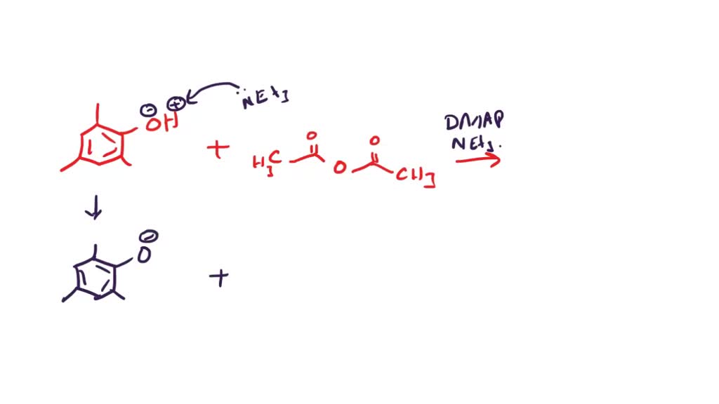 SOLVED: Predict the ester product of the following esterification ...