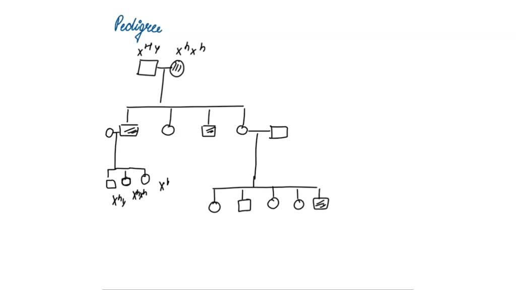 SOLVED: The pedigree below shows the inheritance of red-green colorblindness in a family. Red ...