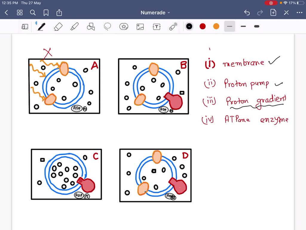 SOLVED: + C e scde-genius.mrooms.net/mod/quiz/review.php?attempt =8731468 &cmid =701 321# ...