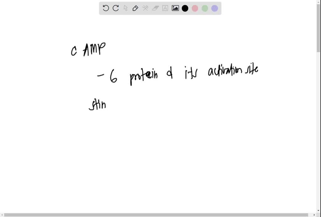SOLVED: Question 3 1 pts In the following cell signaling pathway, which ...