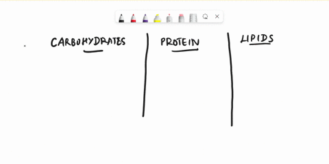 Drag each label into the appropriate position to indicate...