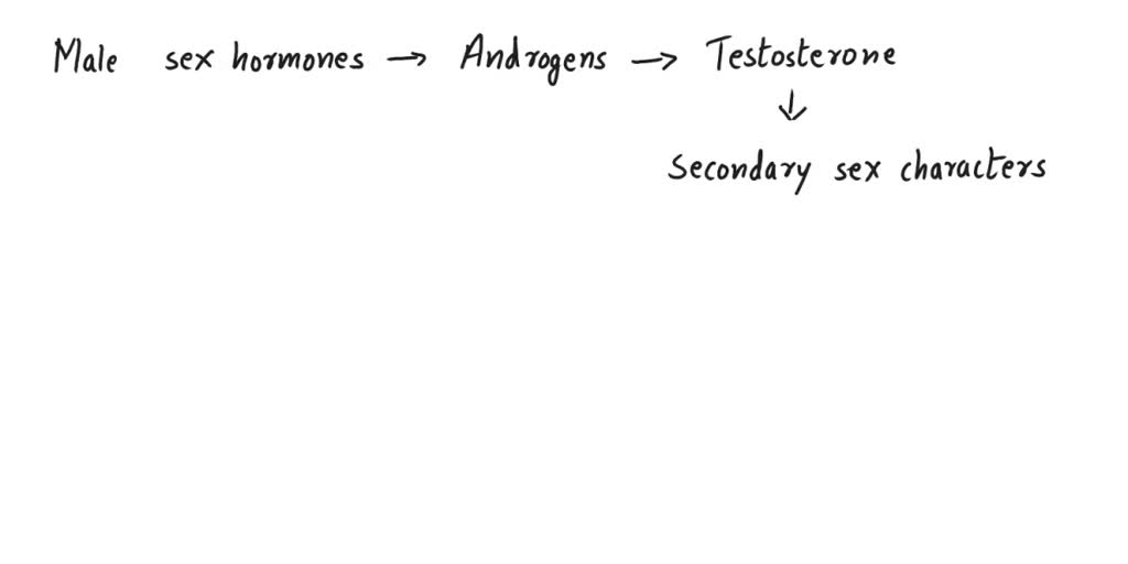 Solved Question 13 Male Sex Hormones Are Generated In The Testes Only Adrenal Glands And Testes 