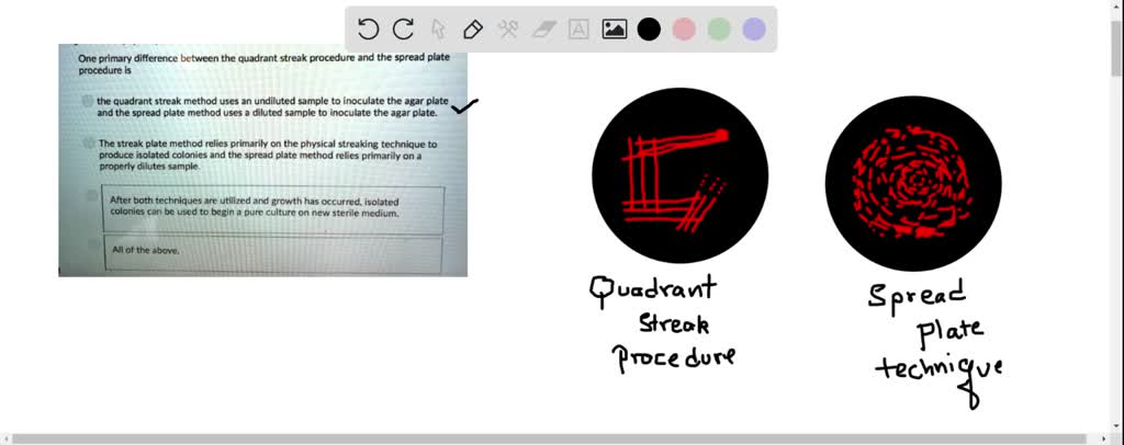 SOLVED: When streaking an aga plate using four-quadrant technique ...