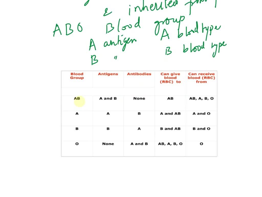 SOLVED: Why do we have antigens on our blood cells and what purpose do ...