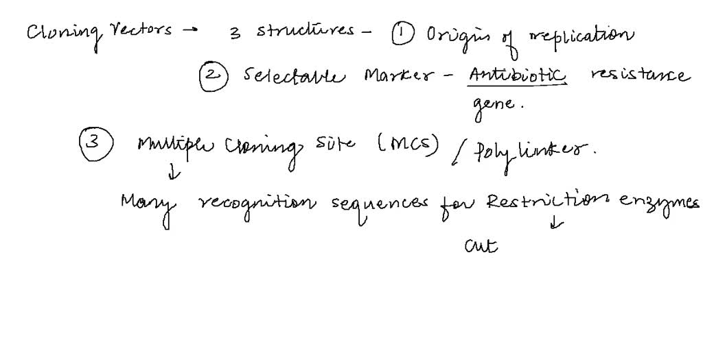 SOLVED: The cloning vectors in use today contain an origin of replication, a selectable marker ...