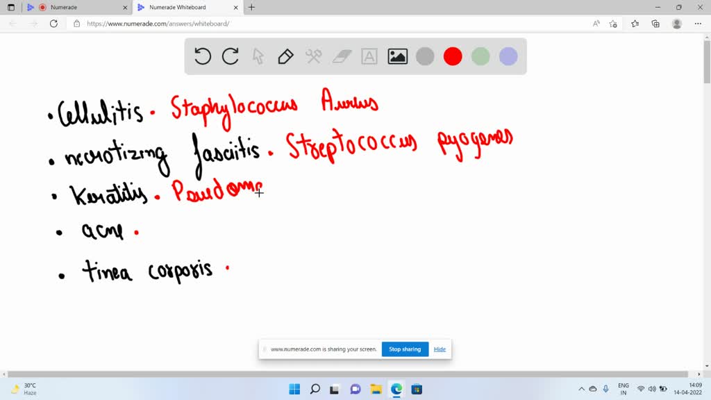 SOLVED: List the types of skin infections caused by Streptococcus ...