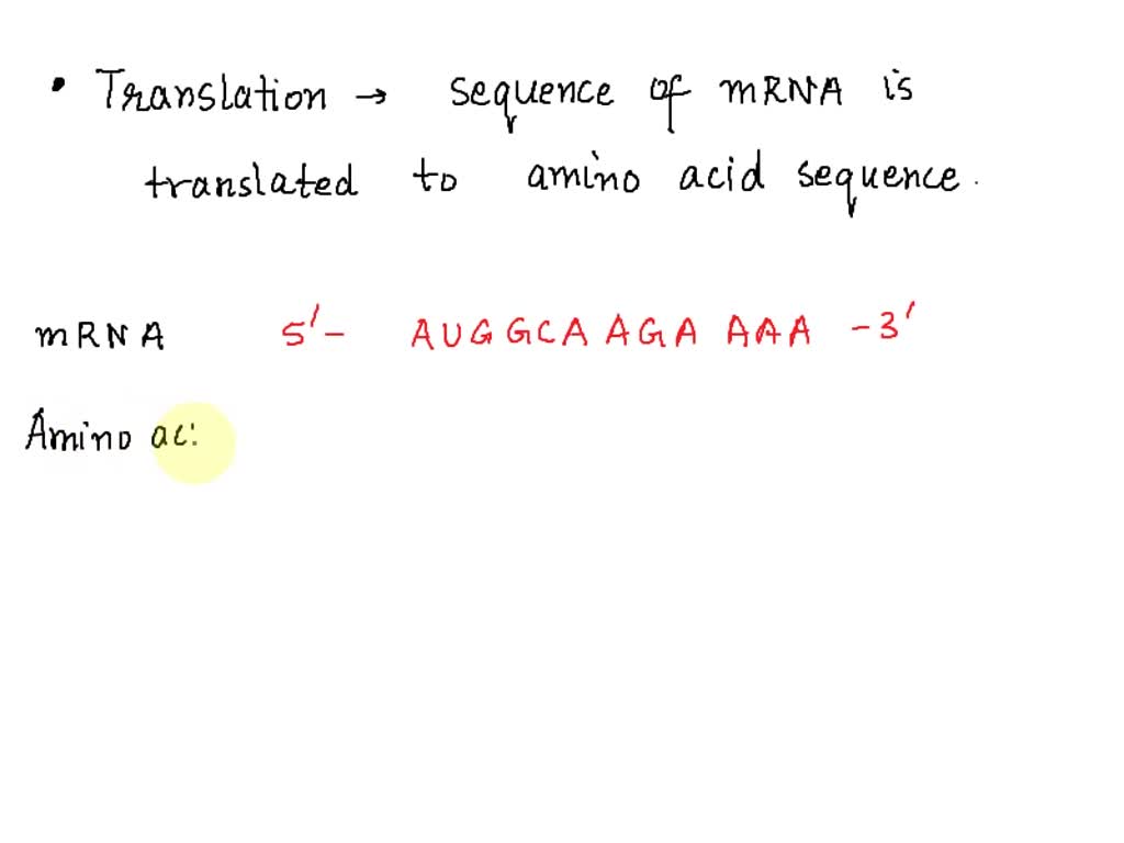 SOLVED: During translation, nucleotide base triplets (codons) in mRNA are read in sequence in ...
