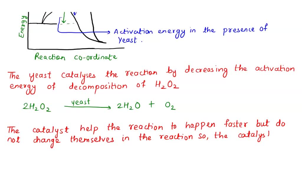Chemical Reaction Of Hydrogen Peroxide And Yeast Reaction - Infoupdate.org