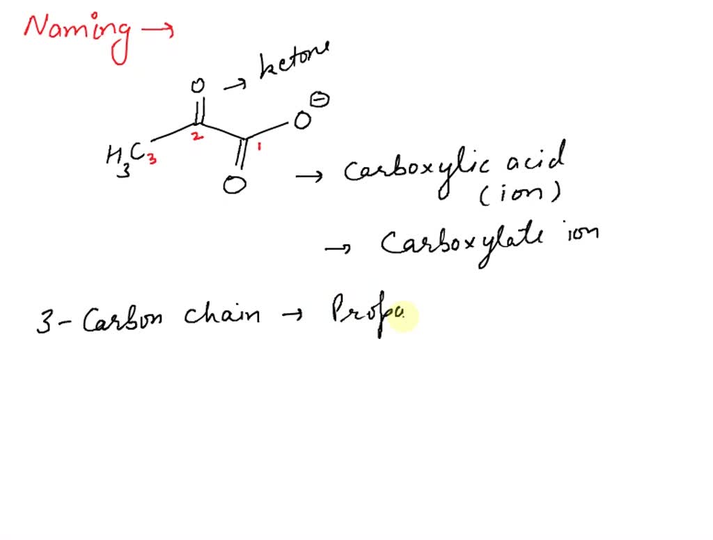 SOLVED: Question 8 1 pts What is the correct name of the molecule below ...