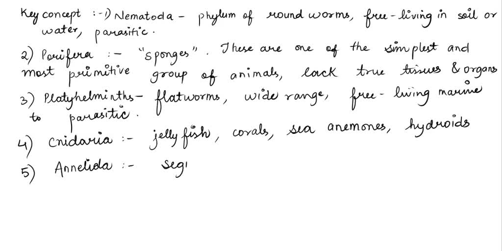 SOLVED: Domain: Eukaryota Kingdom: Animalia Body Phylum: Segmentation ...