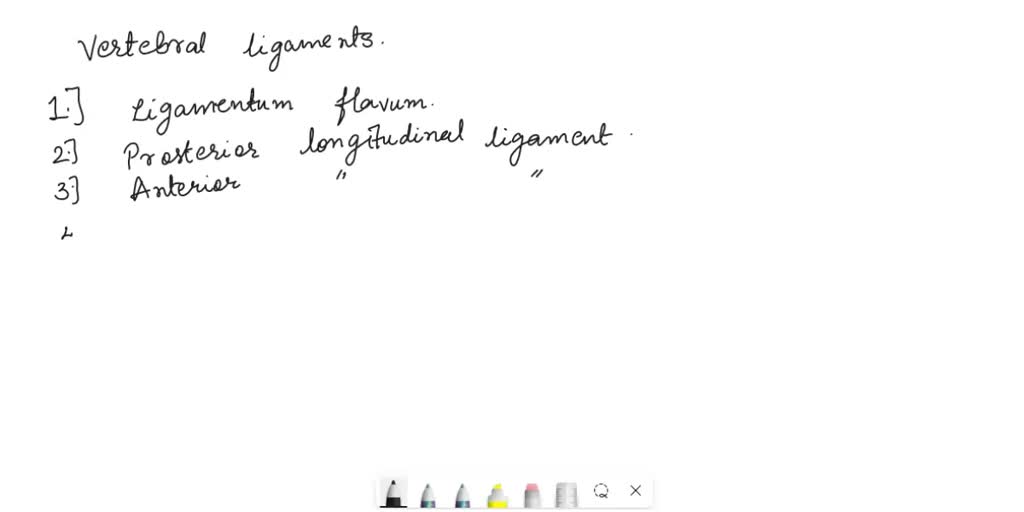 Art-labeling Activity: Primary vertebral ligaments and structural ...