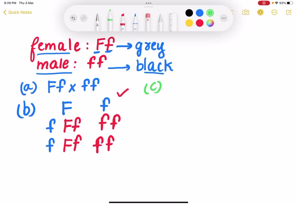 SOLVED: In dogs, the gene for fur color has two alleles. The dominant ...
