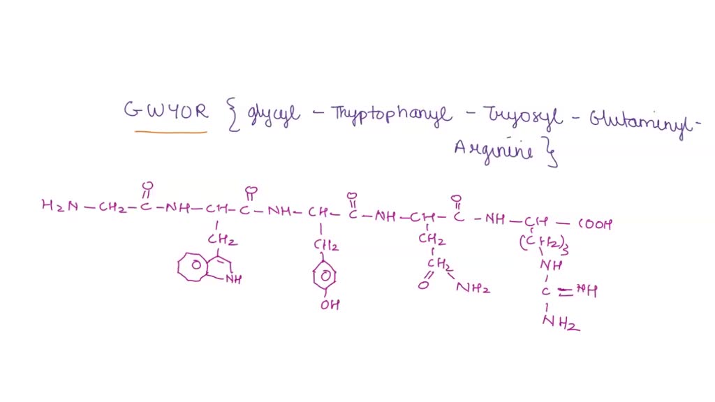 SOLVED: 'Draw the structure of the following peptide GWYQR Indicate the ... SOLVED: 'Draw the structure of the following peptide GWYQR Indicate the ...