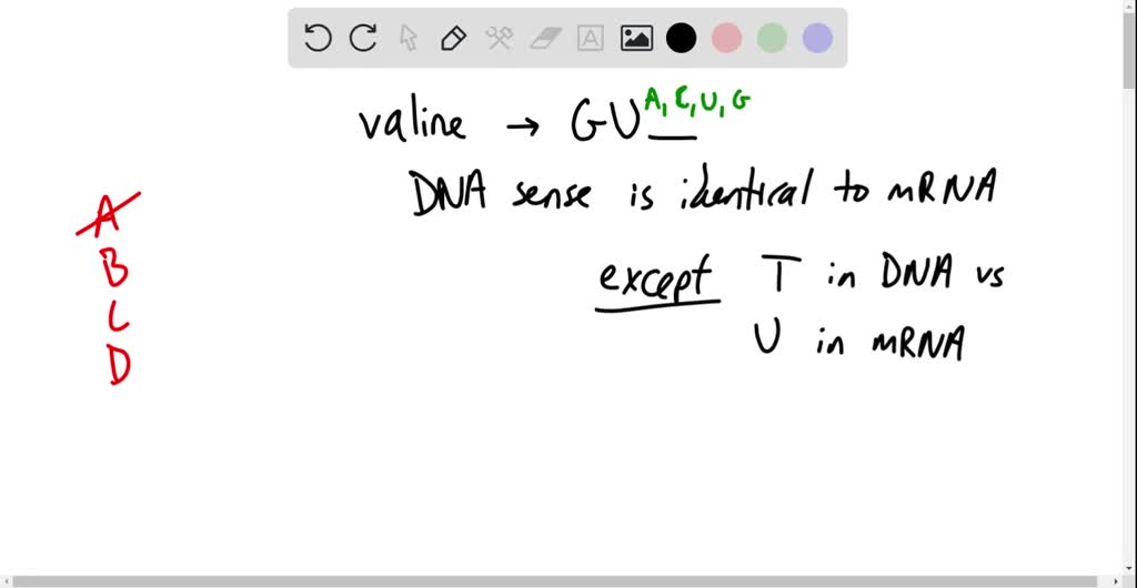 SOLVED: Which of the following could be the mRNA codon, the codon on ...