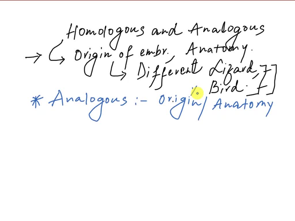 SOLVED: Text: Of homologous structures and one pair. Look at the ...