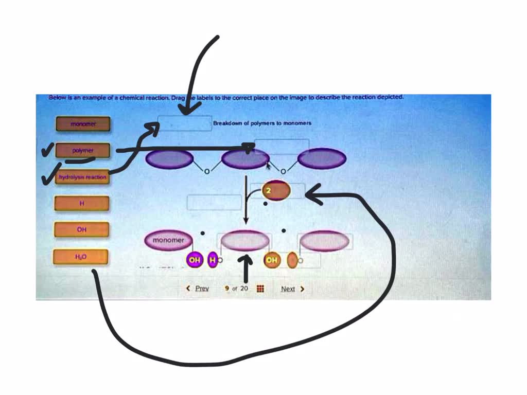 SOLVED: Texts: Below is an example of a chemical reaction. Drag the ...