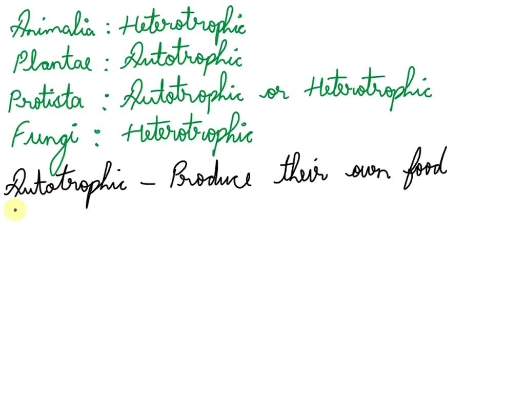 SOLVED: Plantae Plantae drop zone empty. Animalia Animalia drop zone ...