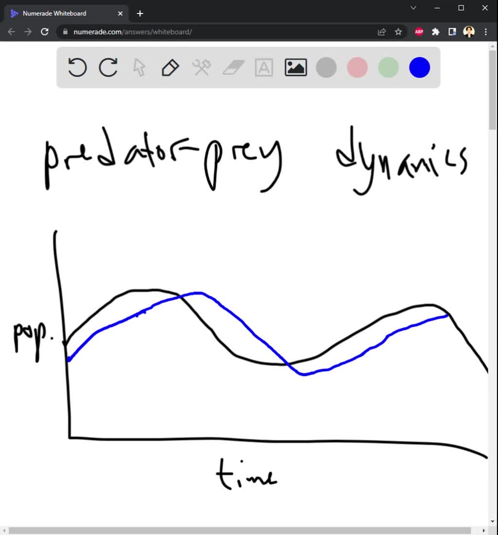 SOLVED: Basic Lotka-Volterra model: Label the isoclines t0 indicate the ...
