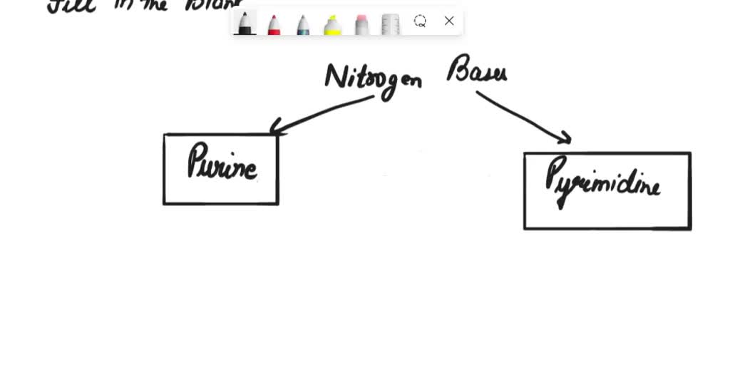Solved Lab Exercise Practical 08 Part 1 Question 1 Using The Primary Databases From Ncbi 