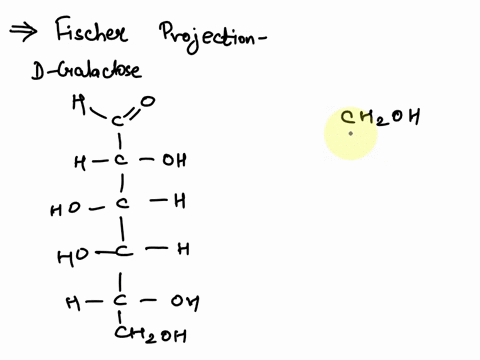 D Fructose Fischer Projection