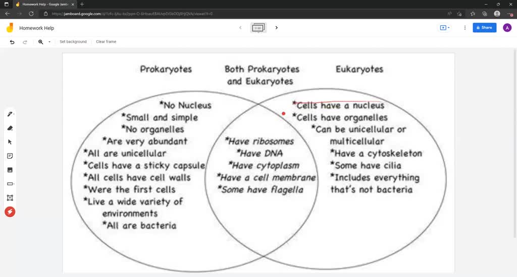 SOLVED: Prokaryotic cells have DNA enclosed in a primitive nucleus ...