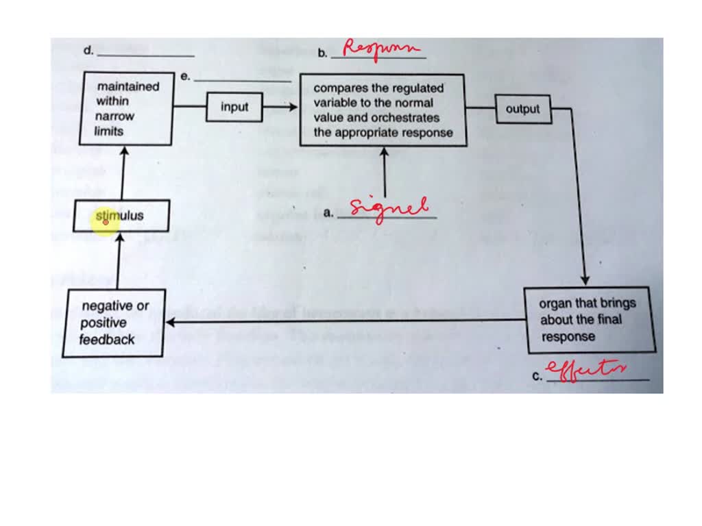 SOLVED: Concept Map 51. Fill in the blanks in the following concept map ...
