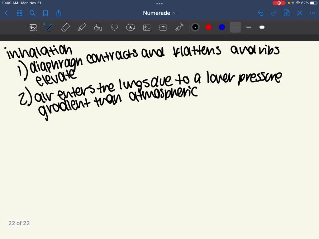 SOLVED: Put the following in order by numbering from 1 to 5 - Diaphragm ...