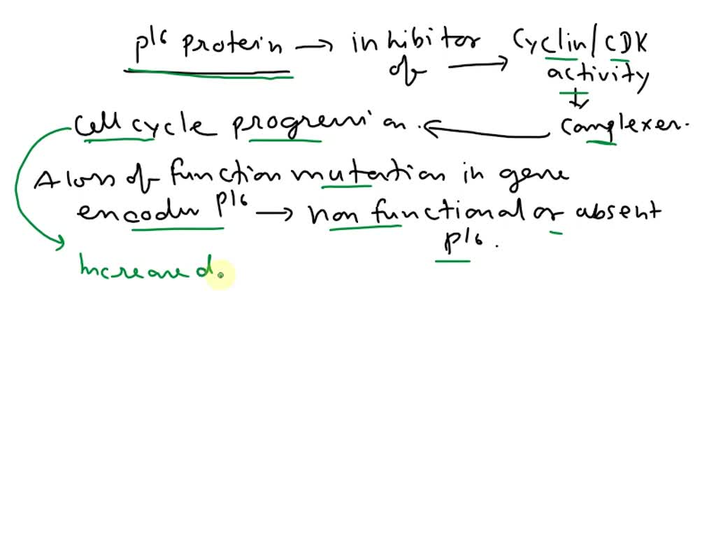 SOLVED: During the cell cycle, the p16 protein is an inhibitor of cyclin/CDK activity. Predict ...
