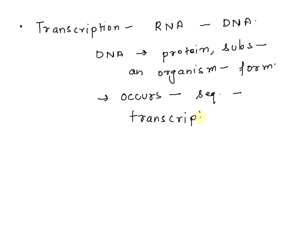 SOLVED What Type Of RNA Is Synthesized During Transcription MRNA TRNA solved-what-type-of-rna-is-synthesized-during-transcription-mrna-trna