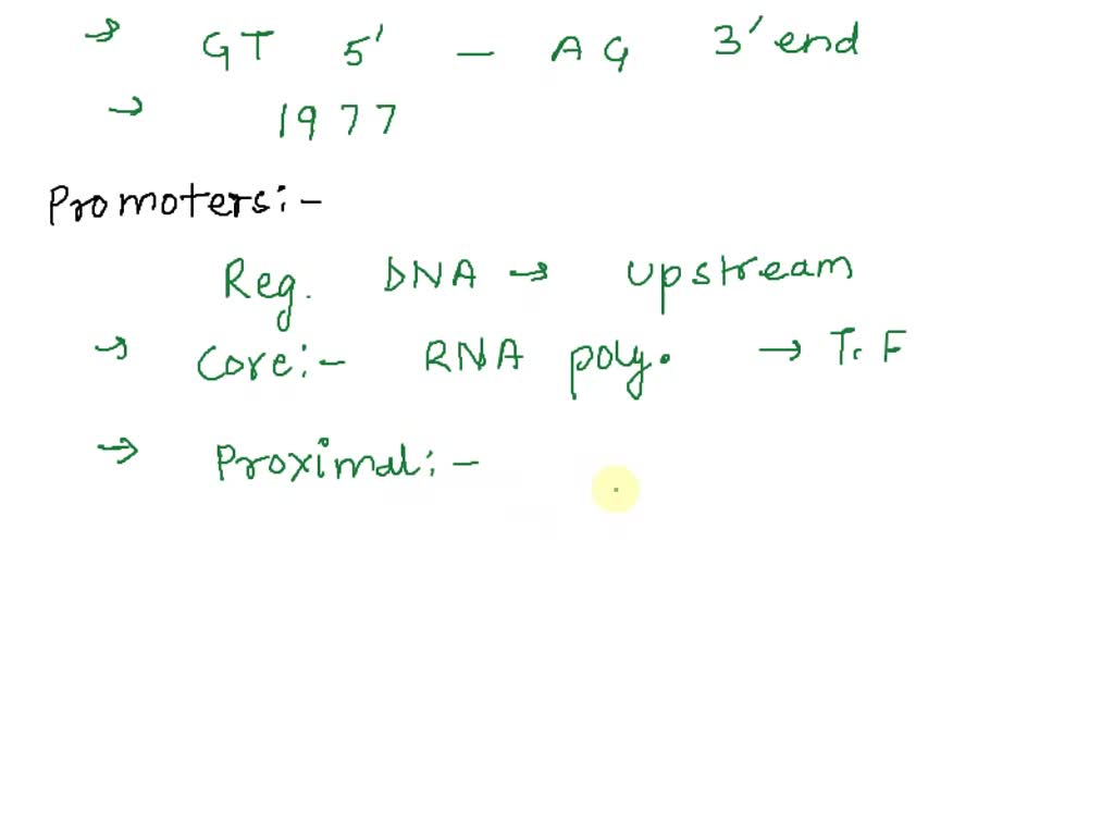SOLVED Describe The Basic Structure Of A Eukaryotic Gene And The SOLVED Describe The Basic Structure Of A Eukaryotic Gene And The