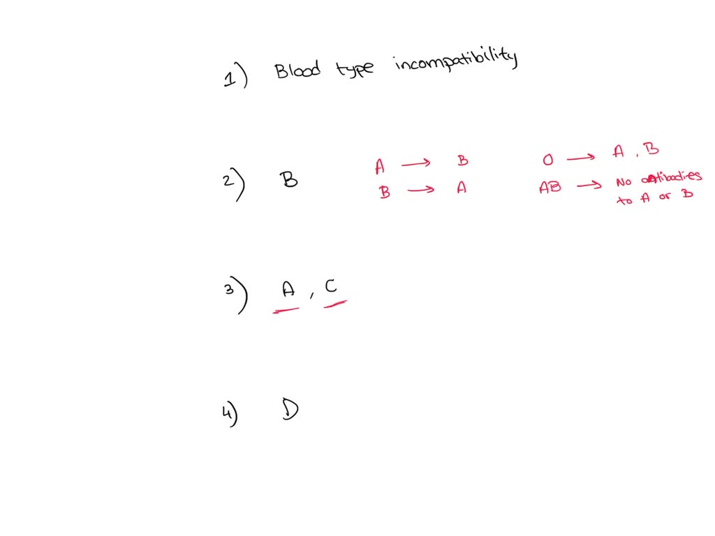 SOLVED: Exercise 17 Post-Lab Questions Agglutination in a blood sample ...