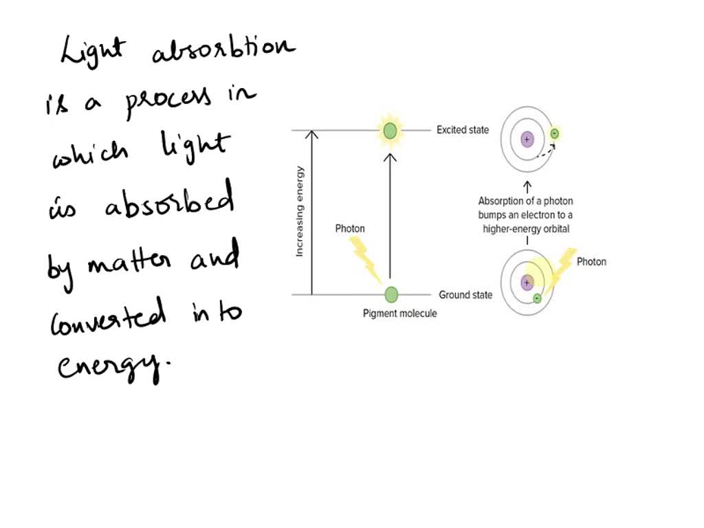 SOLVED: Determine the macroscopic absorption cross-section for Lady Godiva