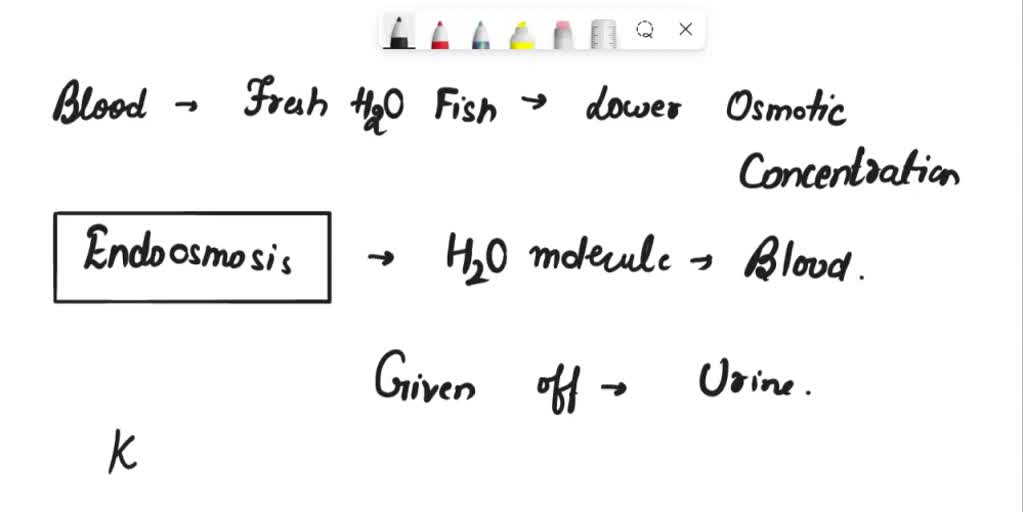 SOLVED: Freshwater fish live in a osmotic hypoosmotic hyperosmotic ...