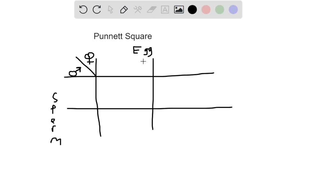 SOLVED: To demonstrate your knowledge of how to set up a Punnett Square ...