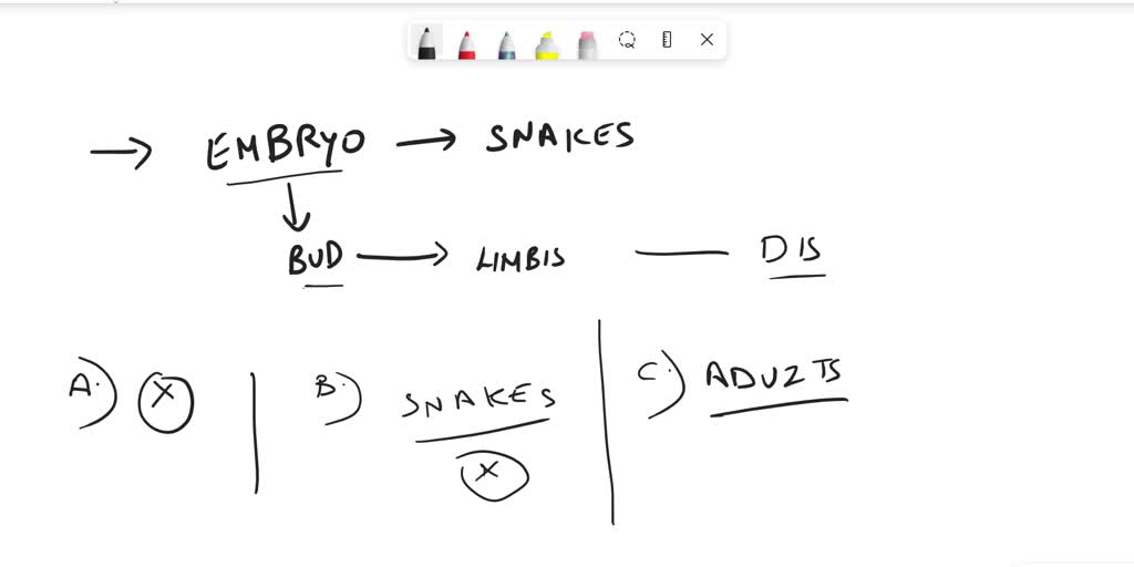 SOLVED: Some snake embryos have small buds resembling limbs. These buds ...