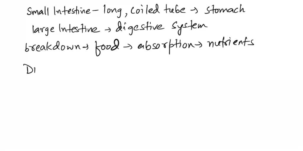 SOLVED: What is the main function of small intestine in the body? A ...