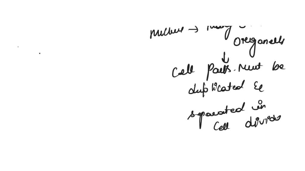SOLVED Which Of The Following Statements Regarding Division A Cell SOLVED Which Of The Following Statements Regarding Division A Cell