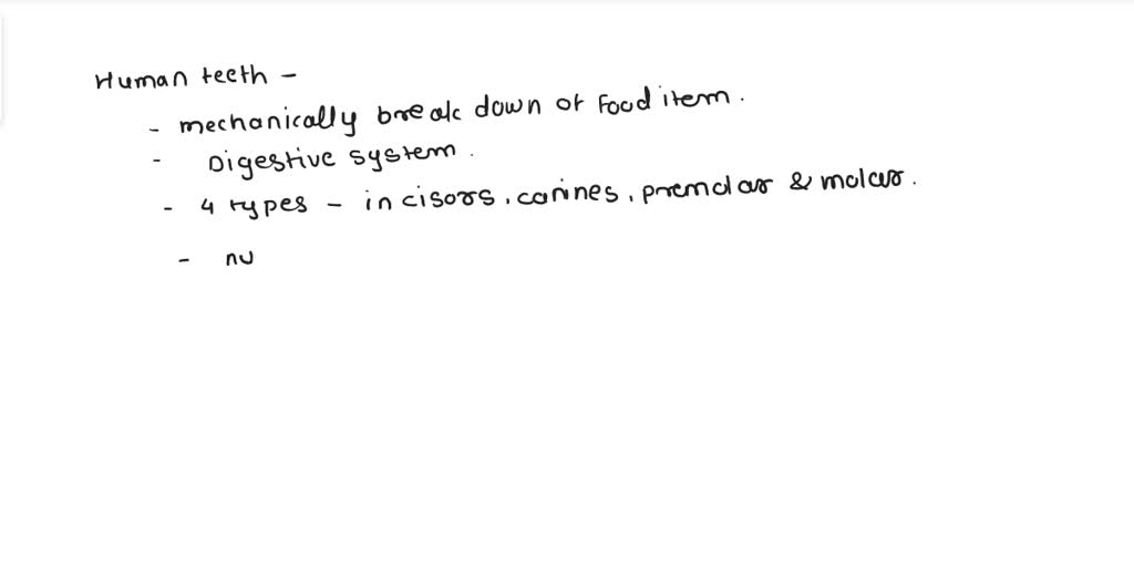 SOLVED: According to Universal tooth numbering system the tooth 24 ...