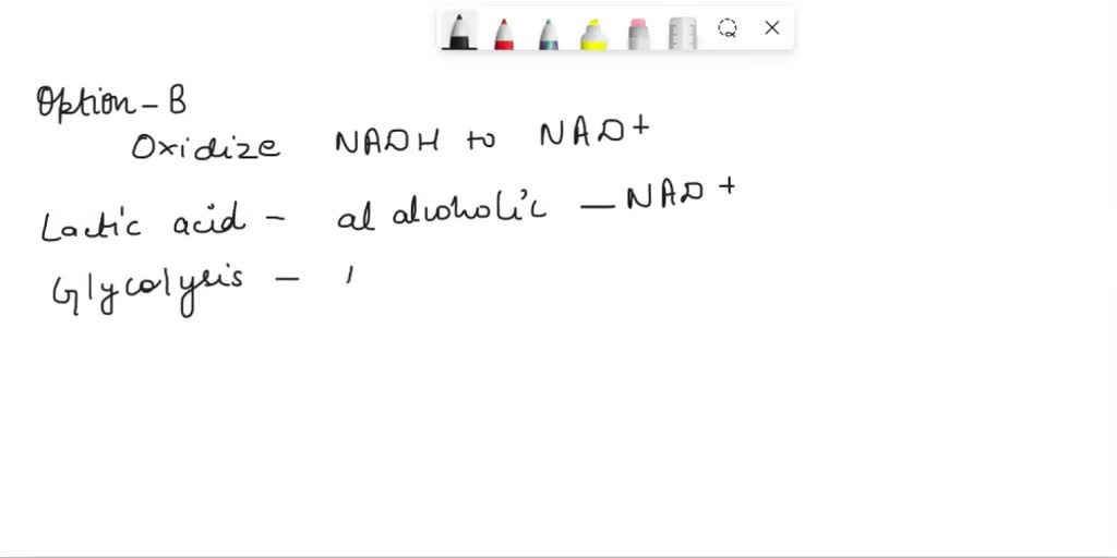 SOLVED: One function of both alcohol fermentation and lactic acid ...