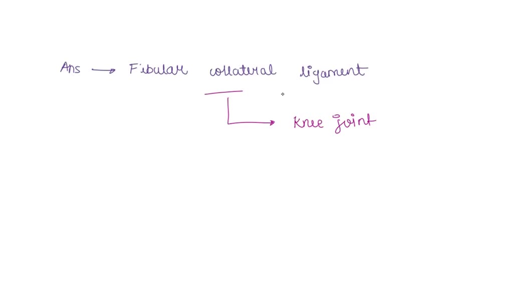 SOLVED: What is another name for the ligamentum teres? Coronary ligament Falciform ligament ...
