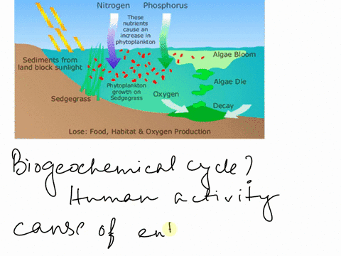 Oxygen Biogeochemical Cycle Definition, Explanation, Types,, 48% OFF