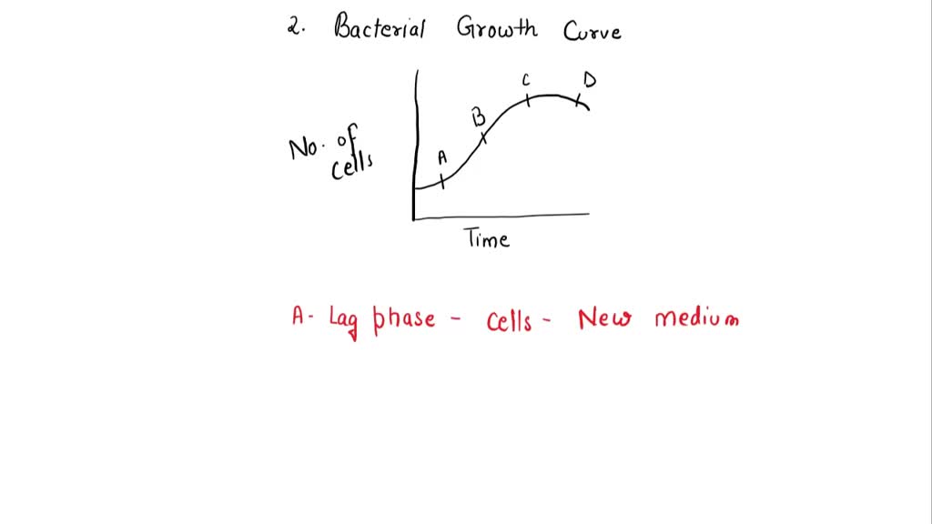SOLVED: 2-praw and discuss typical growth curve for cell cultures ...