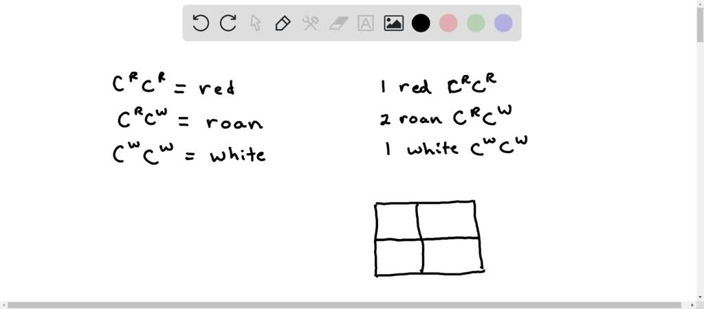 SOLVED: In cattle, roan coat color (mixed red and white hairs) occurs ...