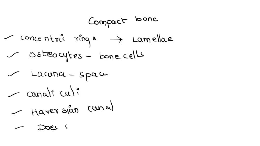 SOLVED: Compact bone consists of concentric rings or lamellae, with ...