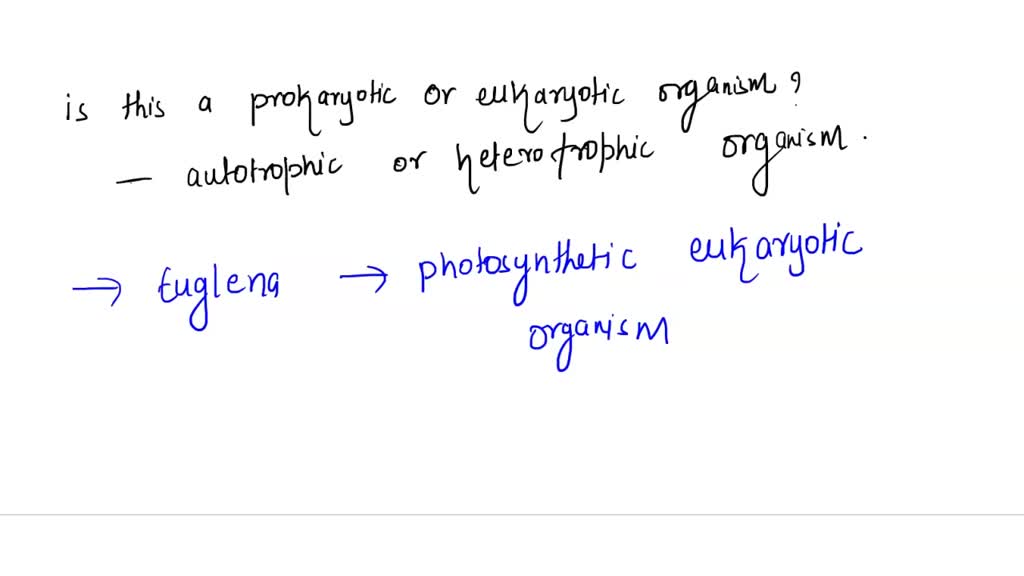 SOLVED: Looking al the following cell. identify gndgie fuctions for all ... SOLVED: Looking al the following cell. identify gndgie fuctions for all ...