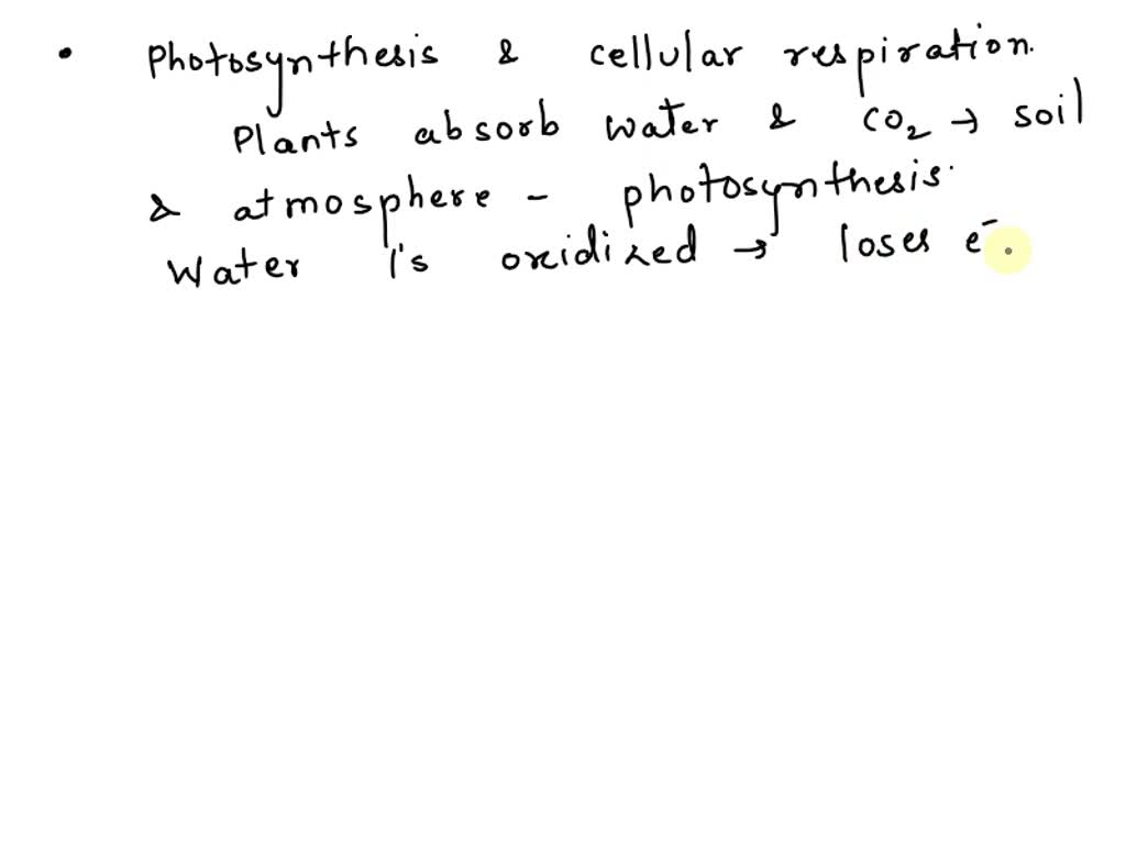 SOLVED: 'The diagram below best describes what interdependence of ...