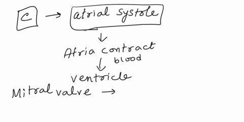 The phase in the cardiac cycle when the mitral valve is...