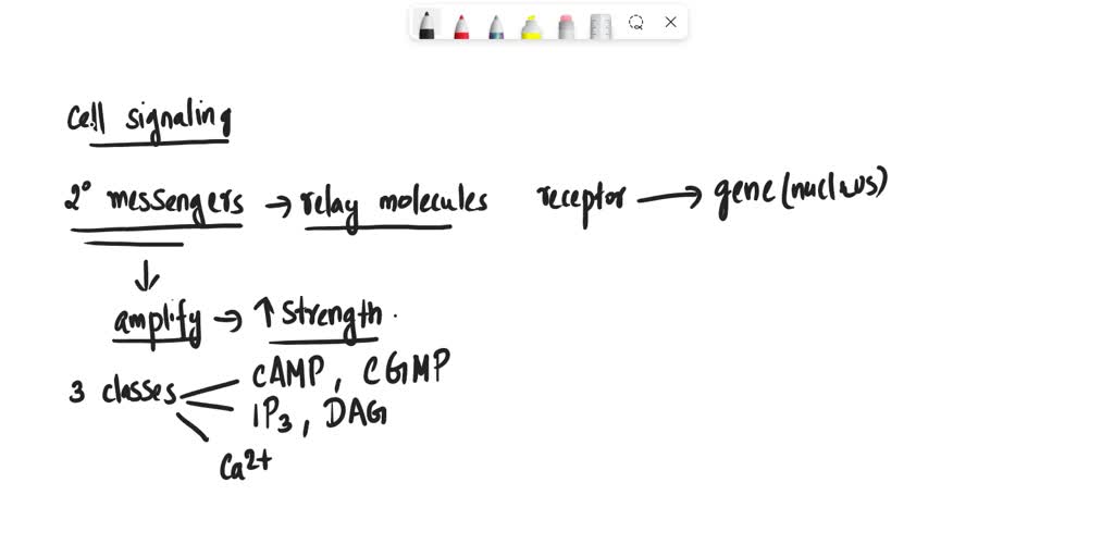 SOLVED: Compare and contrast second messenger receptor mechanisms in ...